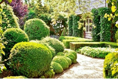 Tout savoir sur les arbustes - Arbustes jardin - Entretenir arbustes